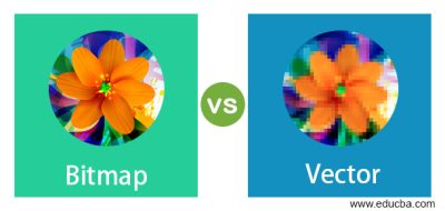 Vector vs. Bitmap Images - The Tech Edvocate