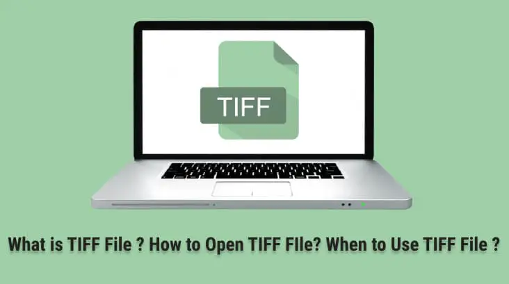 What Are TIF and TIFF Files? - The Tech Edvocate