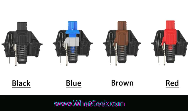 Linear vs. Tactile vs. Clicky Switches: What's the Difference, and What ...