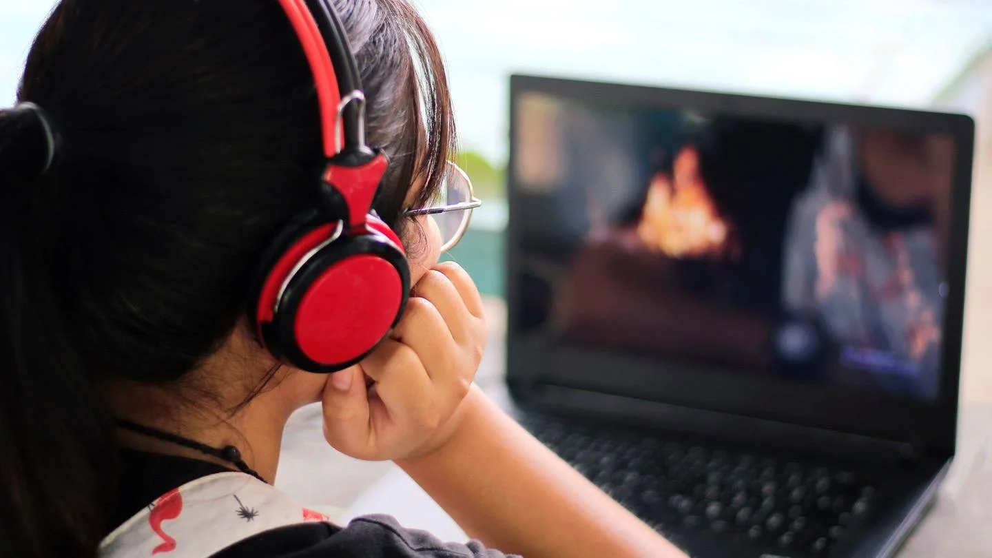 Why Should You Avoid Illegal Streaming Sites? - The Tech Edvocate